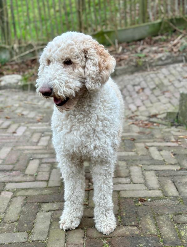 Over ons - MUS conceptstore